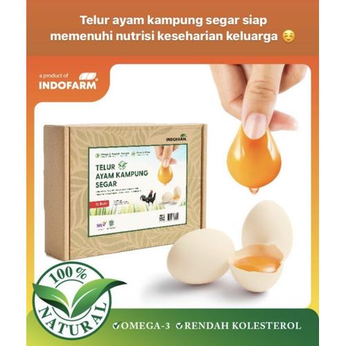 Jual LOLA Telur Ayam KAMPUNG Organic Omega-3 Free Range Eggs INDOFARM 1 ...