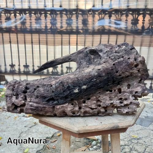 Jual kayu rentek driftwood kr 345611 aquascape kolam aquarium - Kota ...