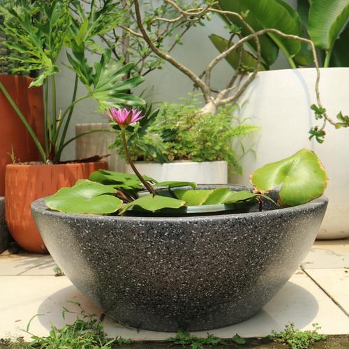 Jual POT TANAMAN AIR TERATAI/LOTUS TERAKOTA PREMIUM D50T20 - Terakota ...