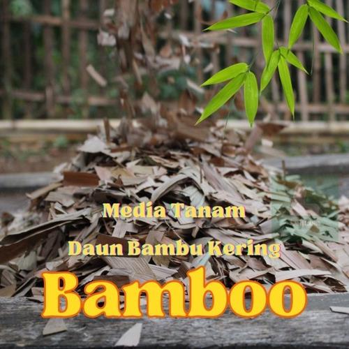 Jual Daun Bambu Kering Cacahan Bisa Untuk Pupuk Organik - Kab. Bandung ...