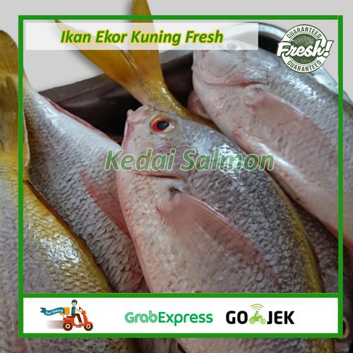Jual Ikan Ekor Kuning Fresh 500gr isi 1-2ekor Seafood Segar - Jakarta ...