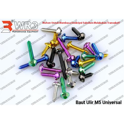 Jual Baut Titanium WR3 Ulir Cacing Body Filter Universal - M5 X 20 ...