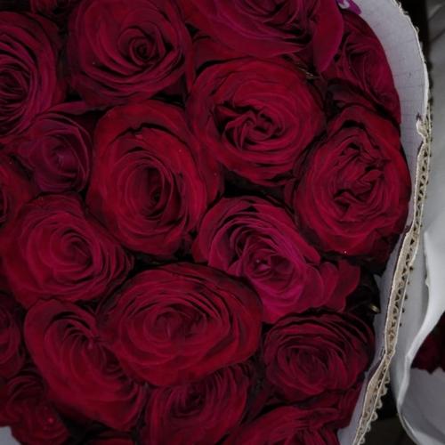 Jual bunga potong mawar 1 tangkai fresh segar hidup rose flower grade A ...