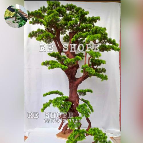 Jual bonsai sancang artificial - pohon cemara udang - bonsay hias ...