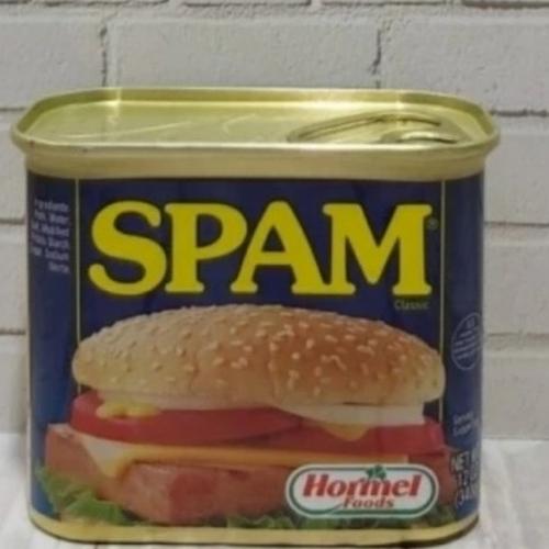 Jual spam classic original burger ( 340 gram ) pork - Jakarta Utara ...