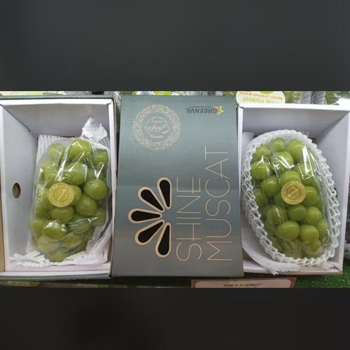 Jual Anggur Shine Muscat Korea Premium / Pack - Jakarta Barat ...