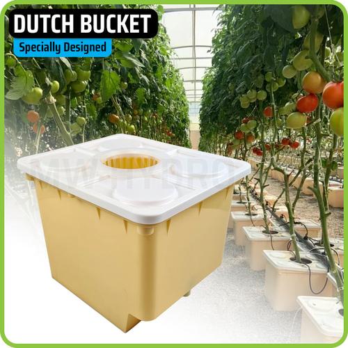 Jual Original Dutch Bucket / Bato Bucket Hidroponik - Bucket - Kab ...