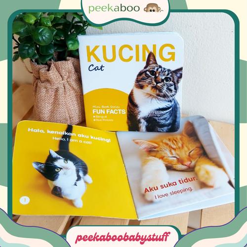 Jual MINI BOOK FUN FACTS - KUCING || BUKU PENGENALAN HEWAN PENGETAHUAN ...