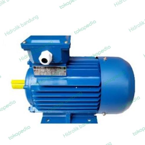 Jual MOTOR ELECTRIC 3 PHASE TITAN / ELECTRIC MOTOR TITAN 0.75 HP / 0.55 ...