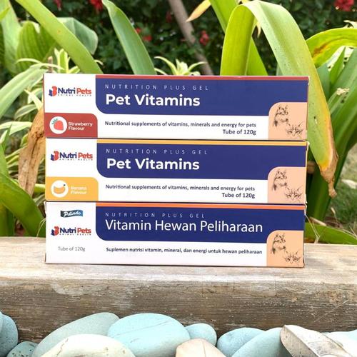 Jual NUTRI PETS 120gr Nutrition Plus Gel nutriplus gel nutriplusgel ...