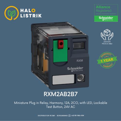 Jual Miniature Relay Schneider Electric - RXM4AB2F7 - Jakarta Pusat ...