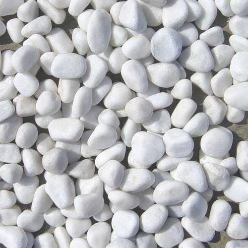 Jual Batu Korall Putih / Batu Hiasan Taman - Kota Bogor - Madada Garden ...