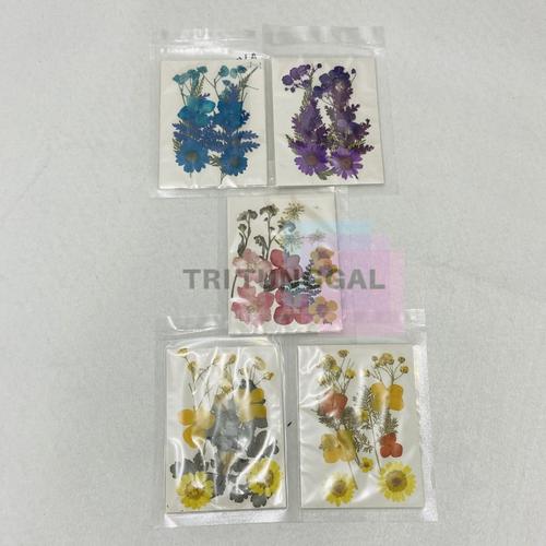 Jual Pressed Flowers RANDOM Dry Flower Resin Art Bunga Kering Warna ...