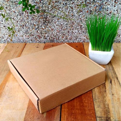 Jual Kotak Kardus Pizza / Box Pizza / Dus Pizza Polos (Uk 30 x 30 x 5 ...