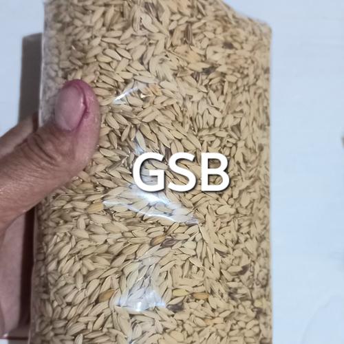 Jual Benih bibit padi huma beras merah unggul padi ladang darat 1 kg ...