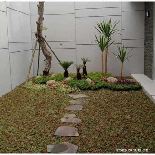 Jual pebikina taman rumput gajah mini+pohon - Jakarta Barat - parid ...