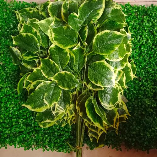 Jual Daun Simpu Artificial 1 Lusin Daun Sintetis Simpu Cabang 5 Lis ...