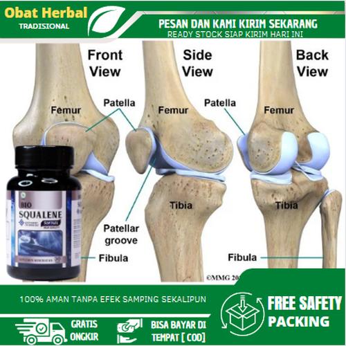 Jual Obat Pelumas Tulang Dan Sendi, Penguat Tulang Dan Sendi - Bio ...