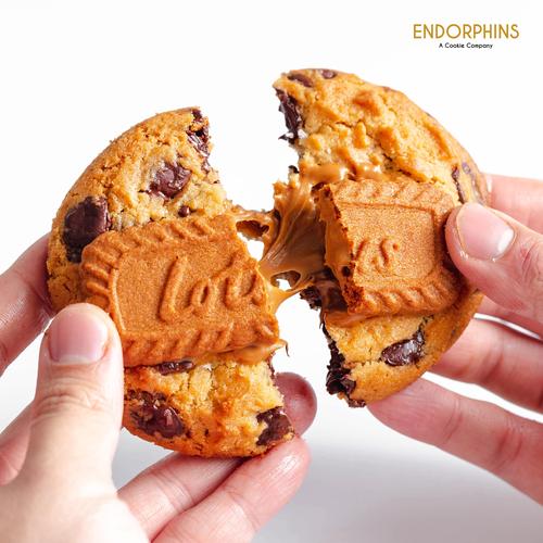 Jual Lotus Biscoff Chocolate Chip cookies - Non Vegan - Jakarta Utara - Endorphins Cookie ...