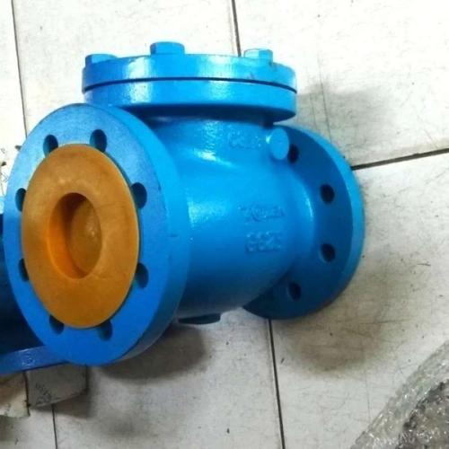 Jual swing check valve jis 10k 21/2"inch / TOZEN cast iron flange 10k ...
