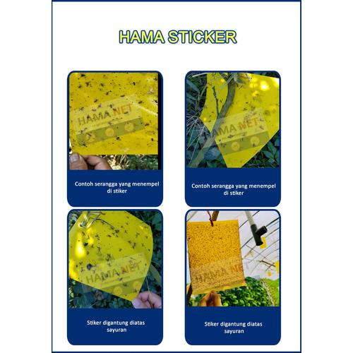 Promo Double Sides Hama Stiker - Biru (Sticker Anti HAMA) - Kab ...