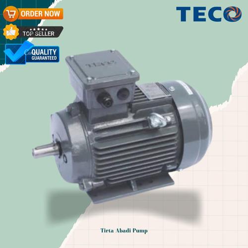 Jual MOTOR TECO TYPE AESV1S 20 HP 15 KW 2 POLE, 4 POLE, & 6 POLE - 2 ...