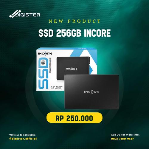 Jual SSD 256GB INCORE - Kota Padang - DIGISTER | Tokopedia