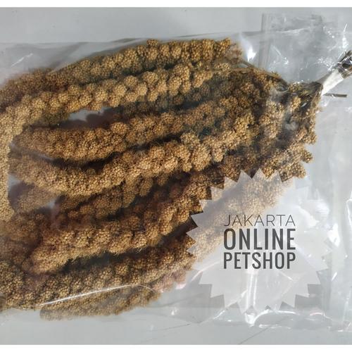 Jual Jewawut tangkai kemasan 100gr (1 ikat) spray milet fox tail millet ...