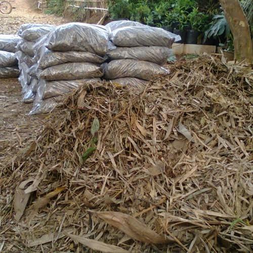 Jual HUMUS DAUN BAMBU KERING UNTUK MEDIA TANAM (1kg) - Kab. Pangandaran ...