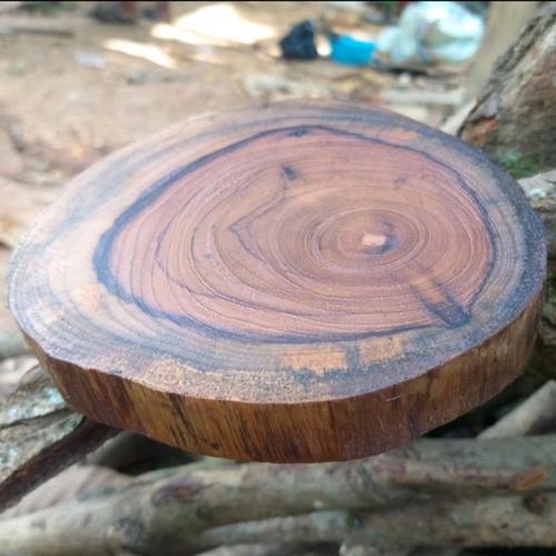 Jual Potongan Kayu Jati Alami 15-16cm Teak Wood Slice Wood Log - Kota ...