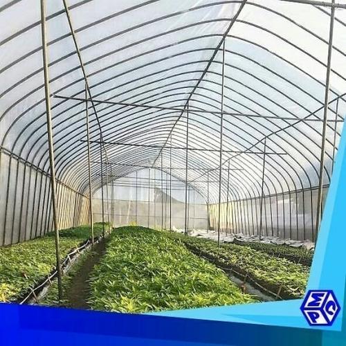 Jual Plastik UV 5% untuk Atap Green House Harga per meter persegi - 150 ...