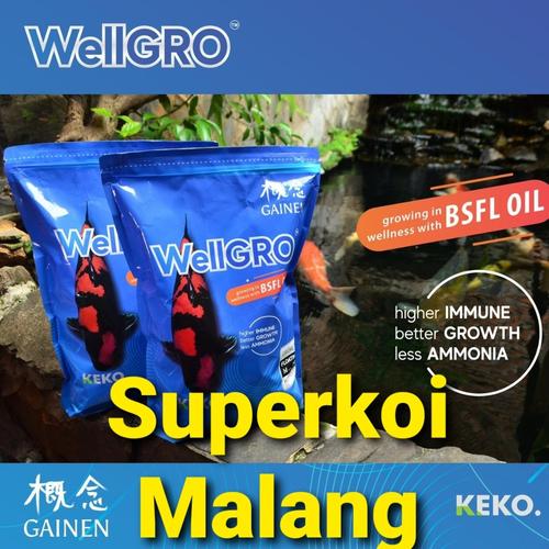 Jual Wellgro Koi Gainen 2KG 2 KG Pakan Koi Ikan Pelet Well Gro Growth ...