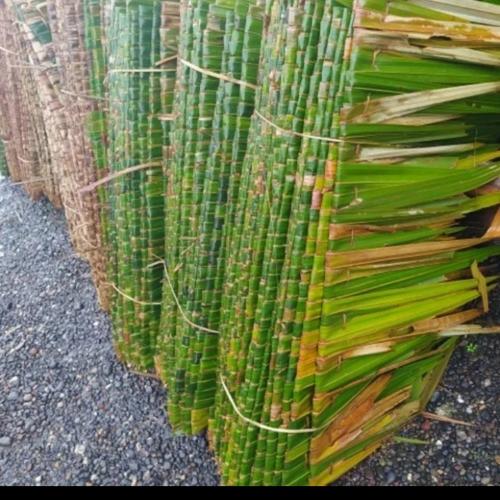 Jual atap daun rumbia - atap daun dahon - atap daun kiray - atap rumbia ...
