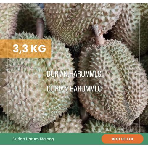 Jual Durian montong utuh Cane Singaraja Bali 3,3kg - Kota Malang - Durian Harum_NEW | Tokopedia