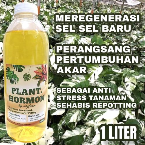 Jual Pupuk Plant Hormon Tanaman Anti Stress Dan Hormon Akar 1 Liter ...