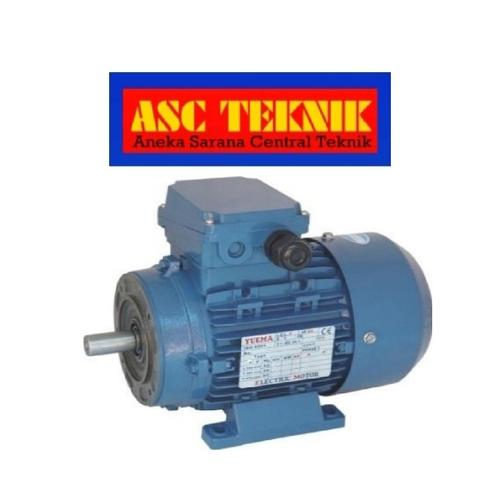 Jual Electric Motor YUEMA SA 4P 0.25KW 0.37HP 3Phase B34 FootFlange ...
