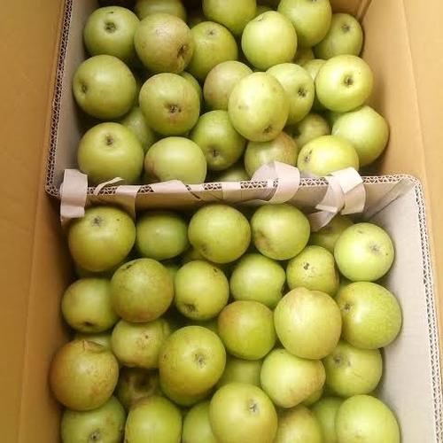 Jual Apel Manalagi/Apel Batu/Apel Malang/Apel Besar Grade A (1kg) - 1 ...