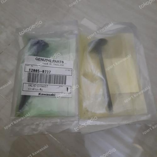 Jual Klep kelep EX D-tracker X 250 Original Kawasaki - Jakarta Timur ...