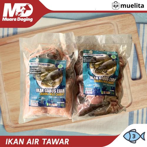 Jual Ikan Gabus Liar Pure Organic - BERASAL DARI ALAM, DIOLAH HIGIENIS ...