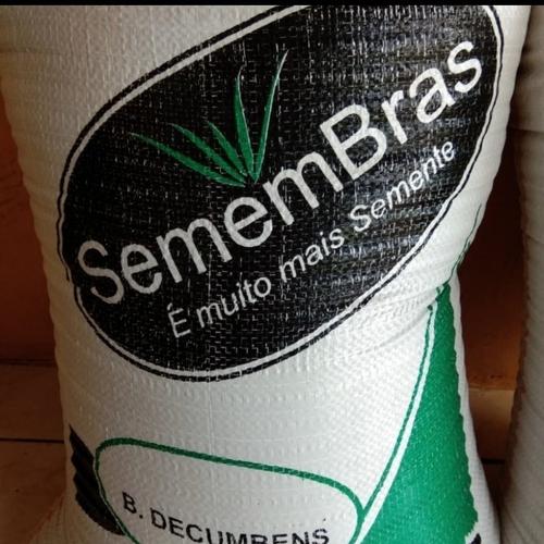 Jual benih biji rumput semenbras rumput signal Brachiaria decumbens per ...