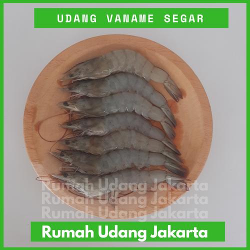 Jual PROMO Udang Segar Vaname 40-50 - / udang 500 gr/udang vannamei ...