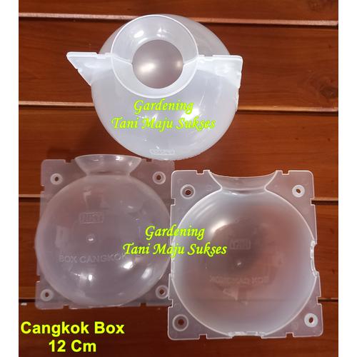 Jual 12 Cm (Diameter) Alat Cangkok Tanaman Warna Putih Transparan ...