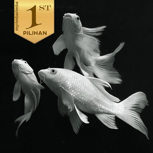 Jual Koi Platinum Slayer (M) Ikan Hias Kolam Aquascape Hiasan Aquarium - Jakarta Barat ...