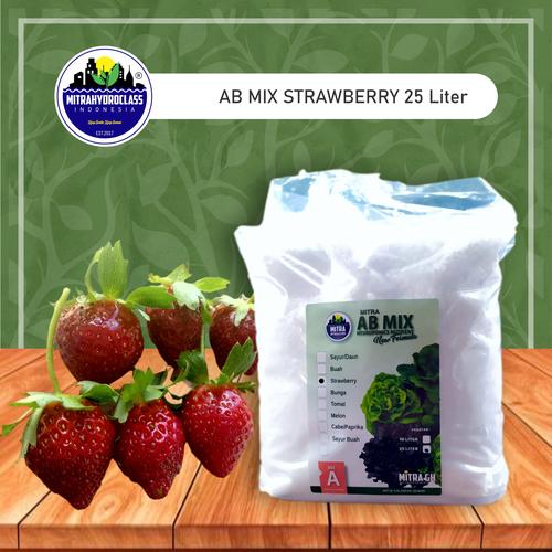 Jual Nutrisi Hidroponik 25L Strawberry - AB Mix Mitrahydroclass - Kota ...