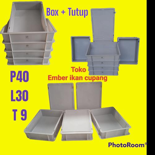 Jual Box Rabbit Box Rapat Box Ikan Box Magot Box Kura Kura Box Hamster ...