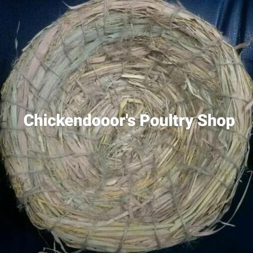 Jual SARANG AYAM BERTELUR ALAS TELUR BURUNG DARA TEMPAT TELOR MERPATI ...