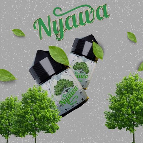 Jual Nyawa Karsa Cinnamon Graham Cracker 60ML by Radix - Liquid Nyawa ...