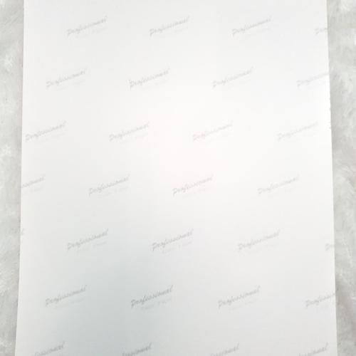 Jual Professional Photo Paper Silky A4 250gRC Silky Profesional Kertas ...