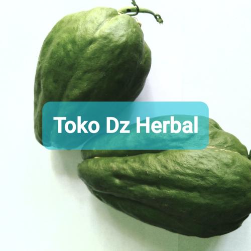 Jual Bibit labu siam hijau super isi 2 buah - Kab. Bandung Barat - Toko ...