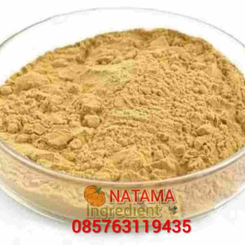 Jual PURE BEEF EXTRACT POWDER- 500 GRAM/ EXTRACT SAPI BUBUK -HALAL ...